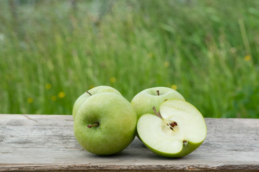 Obst Stelzer GmbH | Frisches, regionales und qualitativ hochwertiges Obstsortiment aus der ...